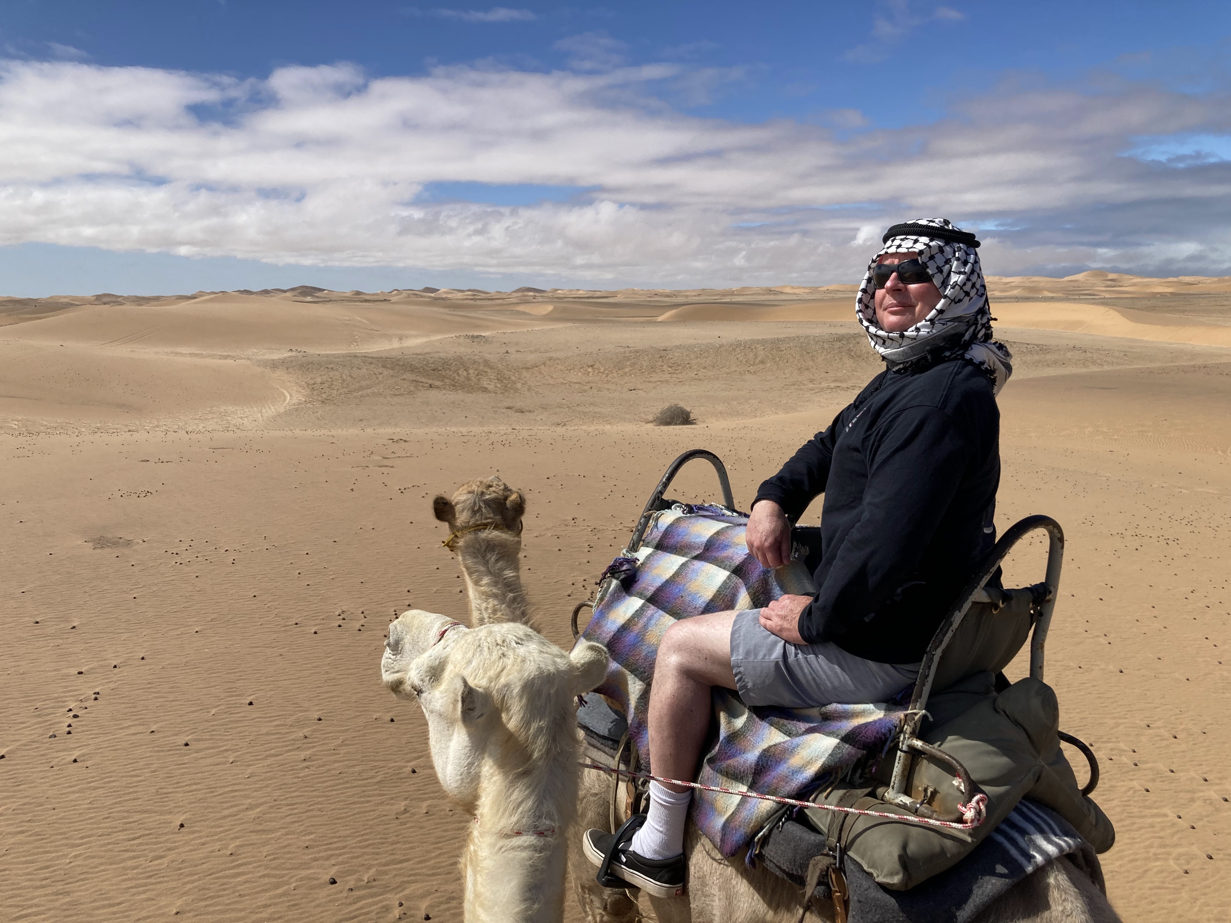 Namibia Day 6 – Camel Ride | Rinehart's Roaming The World